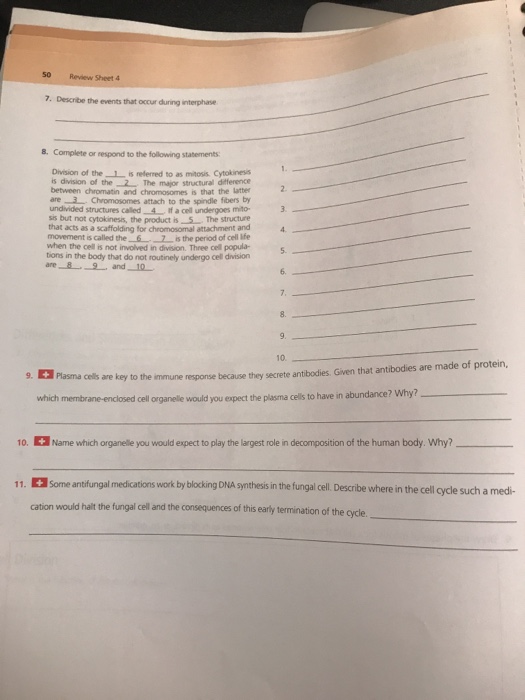 Solved Instructors may assign a portion of the Review Sheet | Chegg.com