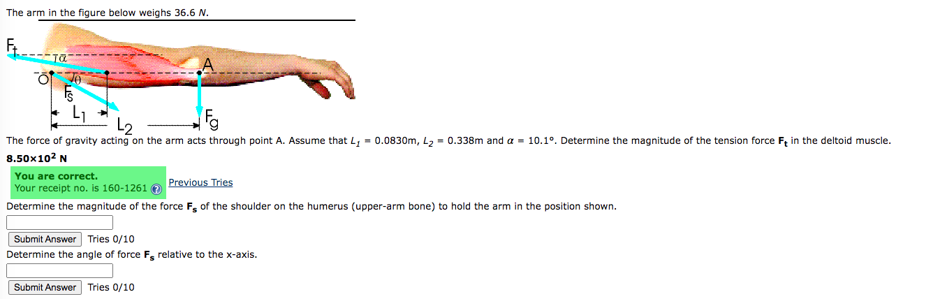 Solved The arm in the finute helnus weinhe 36 KM 8.50×102N | Chegg.com
