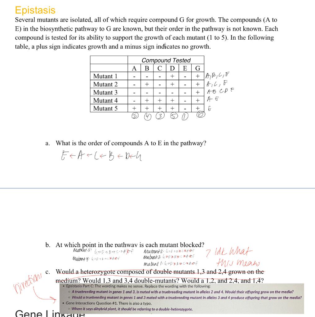 Solved Epistasis Several mutants are isolated, all of which | Chegg.com
