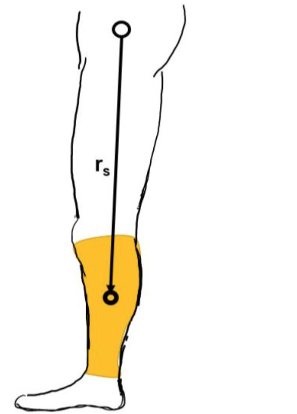 Solved The radius of gyration kcg = 0.2 for the shank | Chegg.com