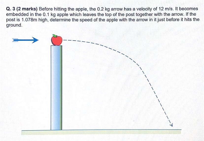 Solved Q. 3 (2 marks) Before hitting the apple, the 0.2 kg | Chegg.com