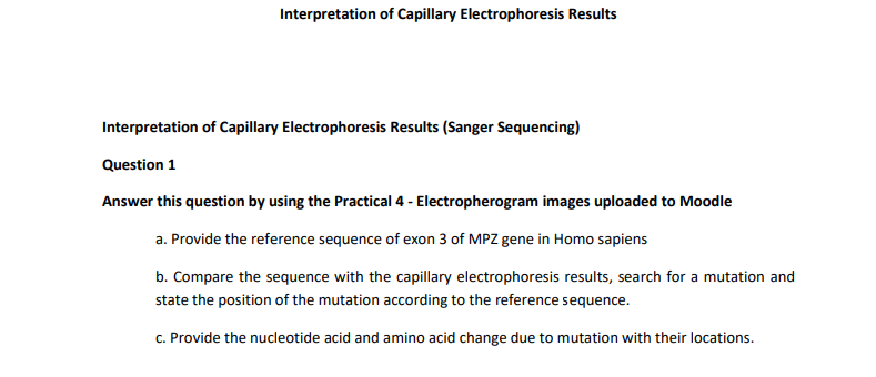 Interpretation of Capillary Electrophoresis Results | Chegg.com