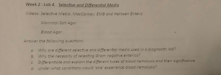 Solved Why are different selective and differential media | Chegg.com