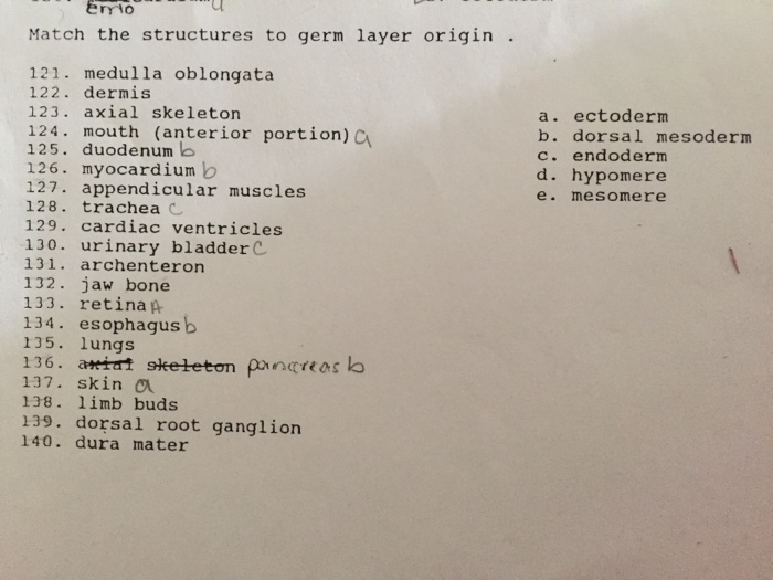 Solved Match the structures to germ layer origin. a. | Chegg.com