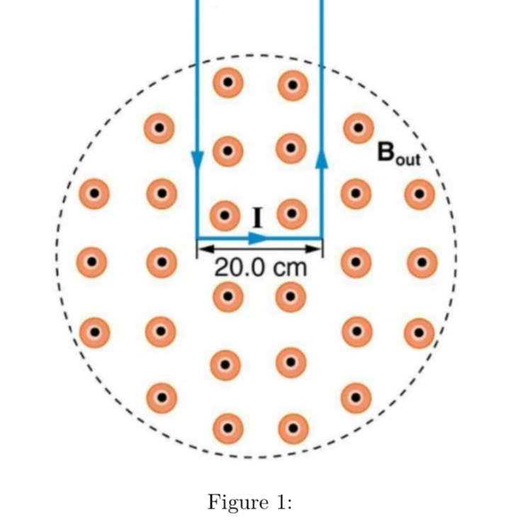 Solved The force exerted on a rectangular loop placed in a | Chegg.com