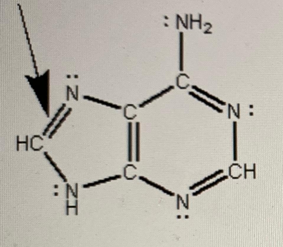 Solved : NHA с C N 'N : HC . co .CH N | Chegg.com