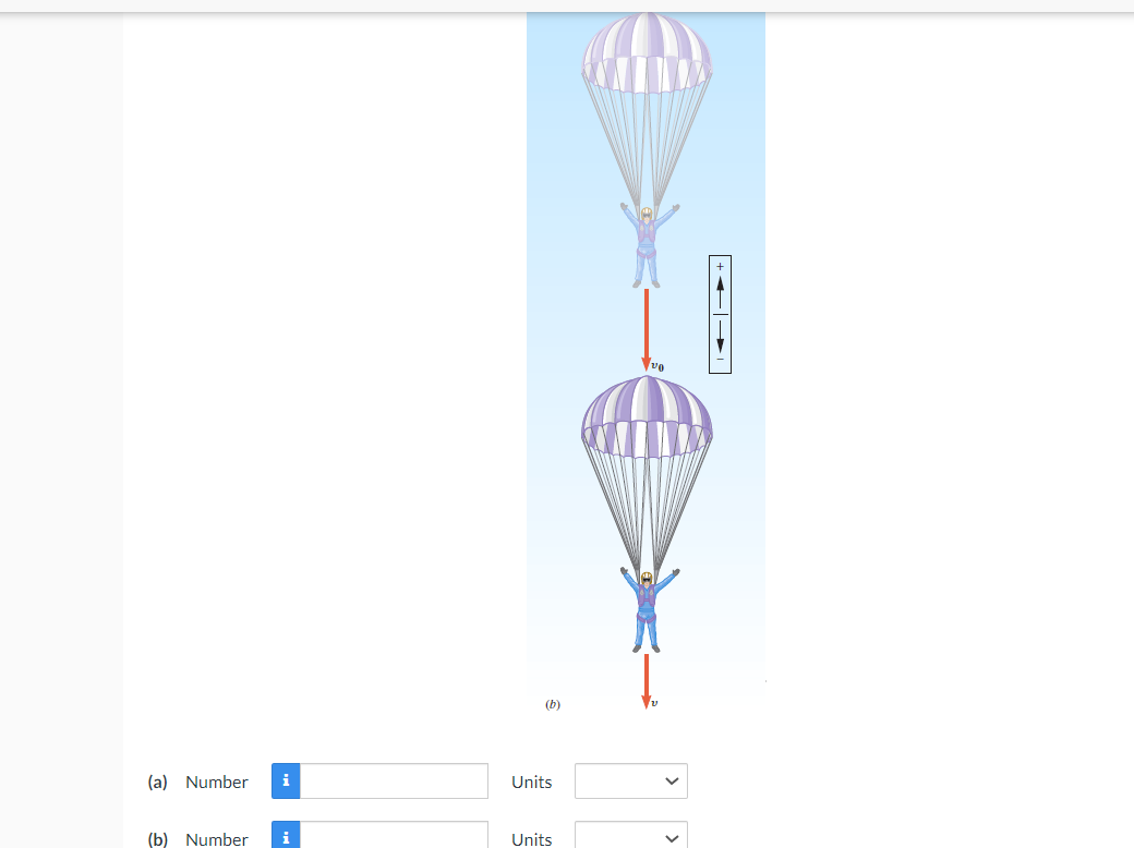 Solved A skydiver is falling straight down, along the | Chegg.com