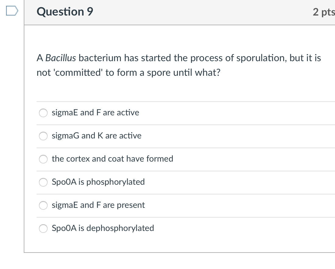 Solved Question 9 2 pts A Bacillus bacterium has started the | Chegg.com