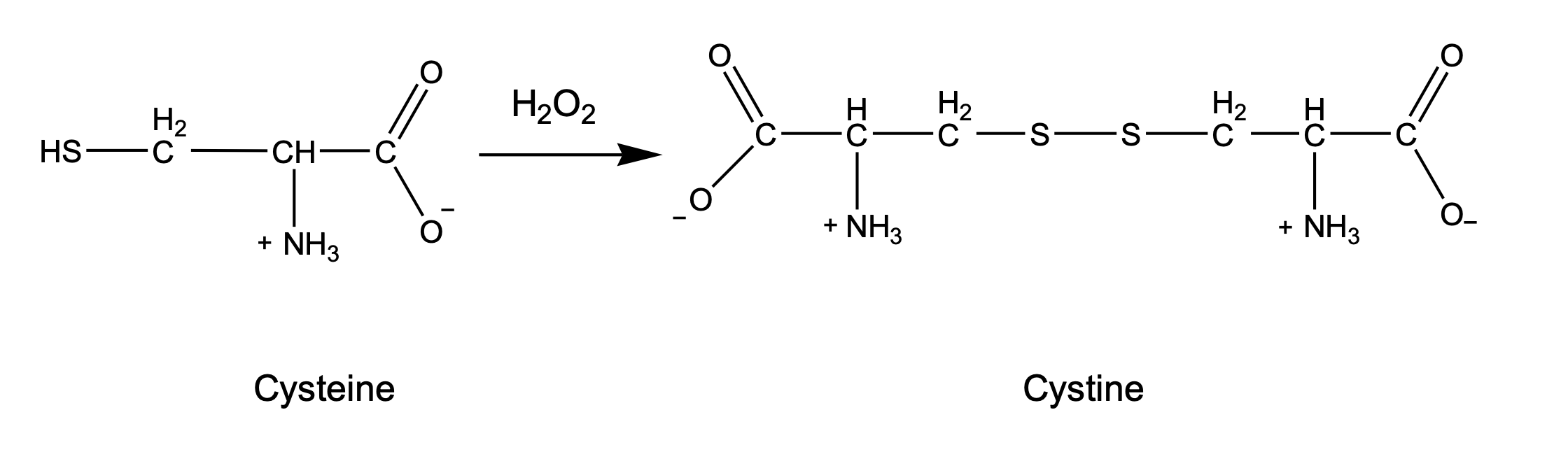 Solved Cysteine Cystine | Chegg.com