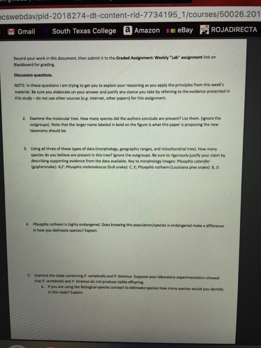 bbcswebdavlpid-2018274-dt-content-rid-7734195 | Chegg.com