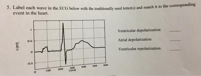 Solved 5. Label each wave in the ECG below with the | Chegg.com
