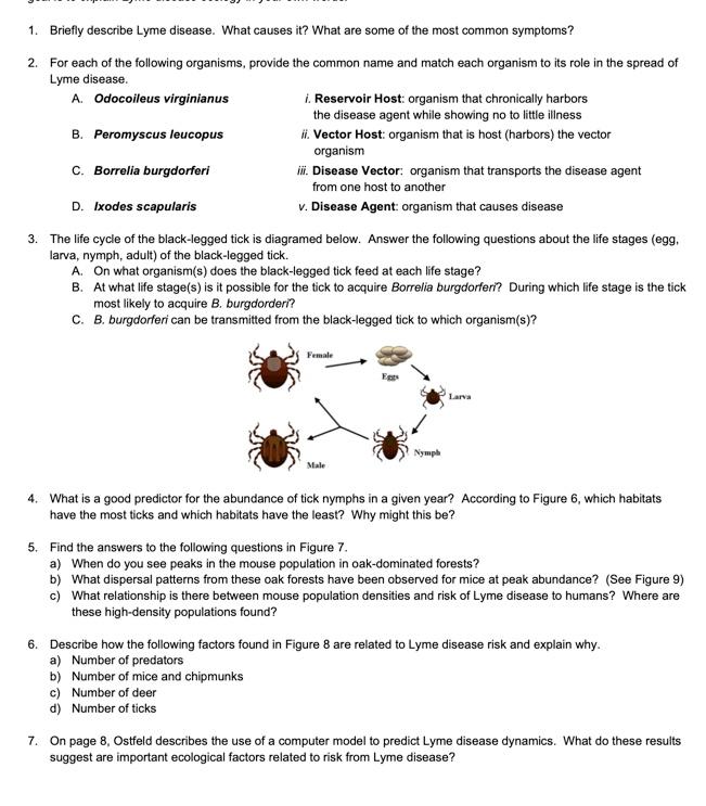 Solved 1. Briefly describe Lyme disease. What causes it? | Chegg.com