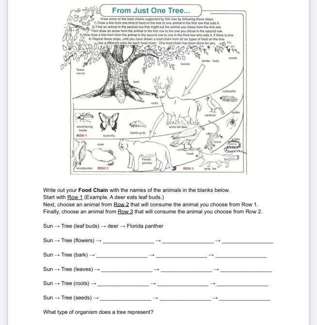 Solved From Just One Tree... Drawsome of the food chain | Chegg.com