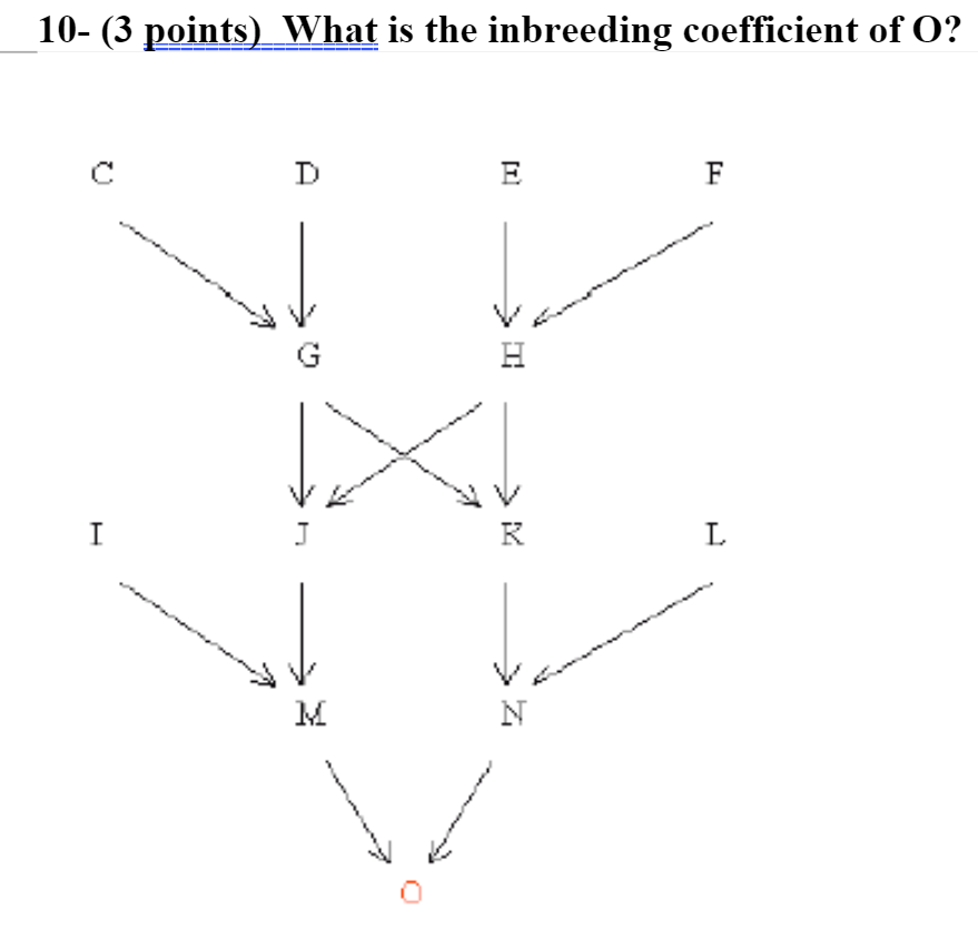 Solved 10- (3 points) What is the inbreeding coefficient of | Chegg.com