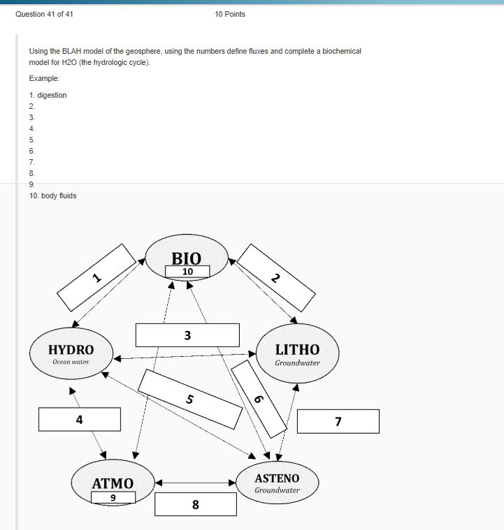 Solved Question 41 of 41 10 Points Using the BLAH model of | Chegg.com