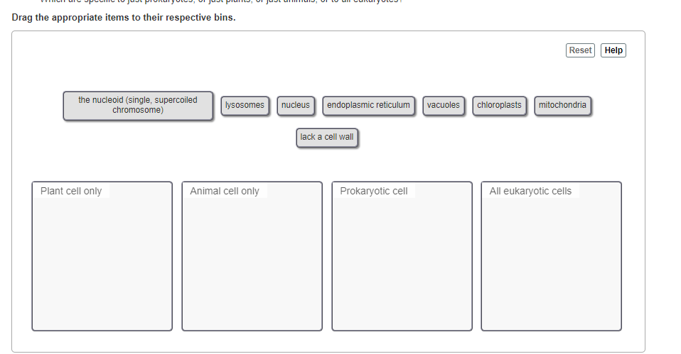 Solved Drag the appropriate items to their respective bins. | Chegg.com