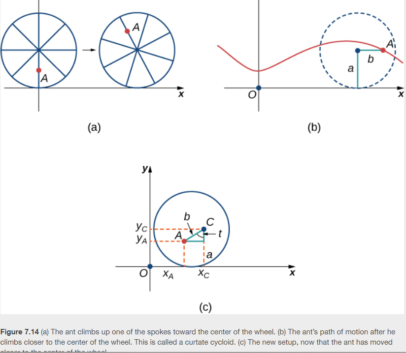 Travels with My Ant: The Curtate and Prolate Cycloids | Chegg.com