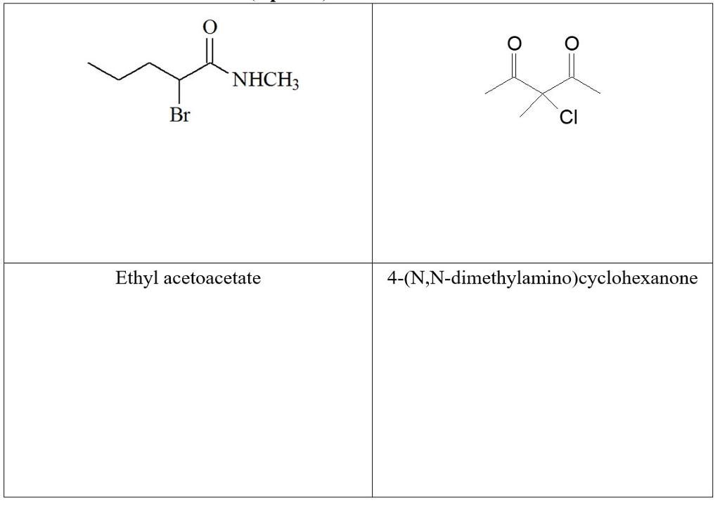 Solved NHCH3 Br Cl Ethyl acetoacetate | Chegg.com