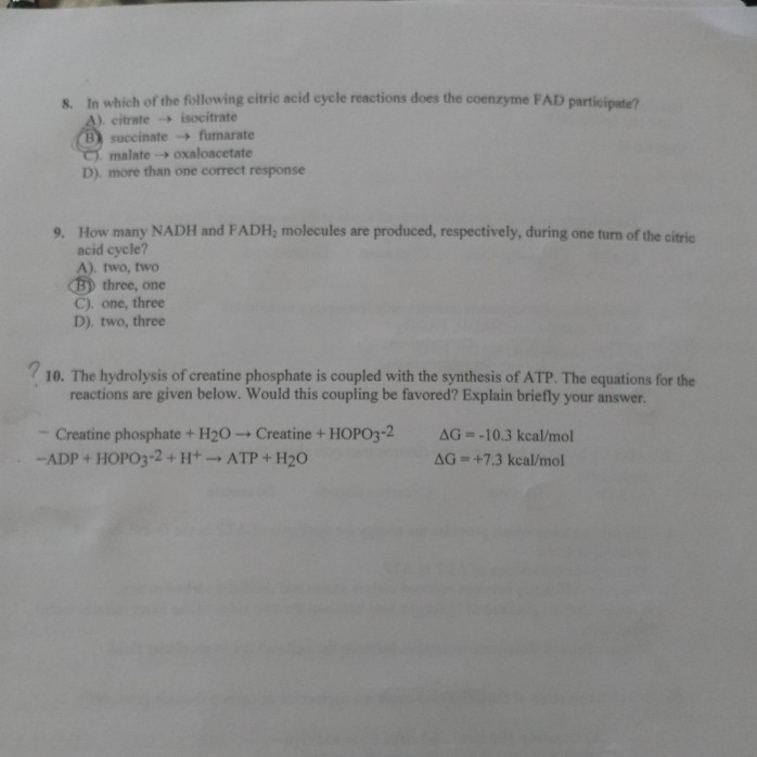 Solved The common molecule produced from all foods at the | Chegg.com