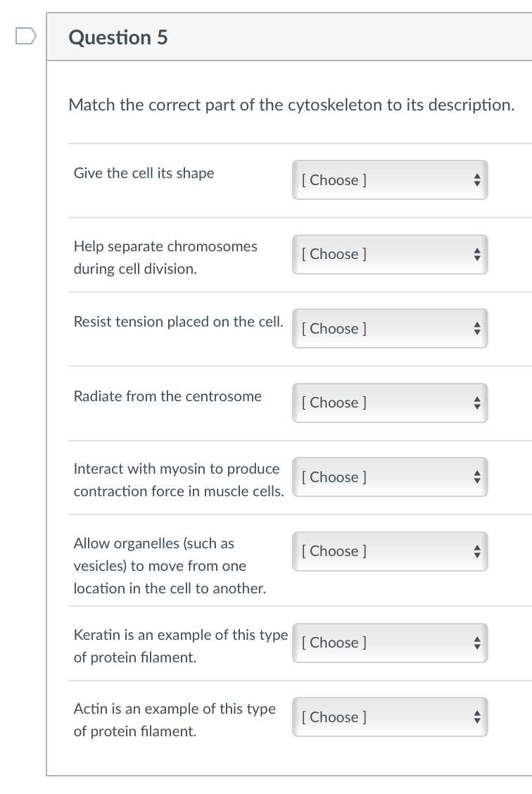 Solved Question 5Match the correct part of the cytoskeleton | Chegg.com