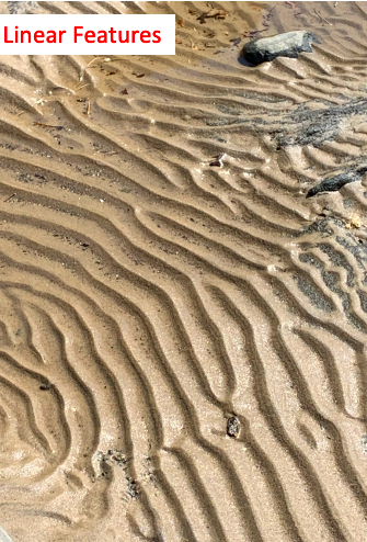 Solved 1) Look at the image of "linear features": There is a | Chegg.com