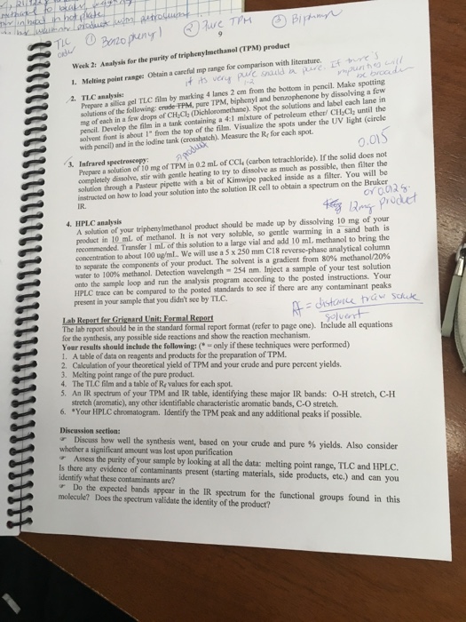 Solved QUESTION: I need help calculating the theoretical | Chegg.com