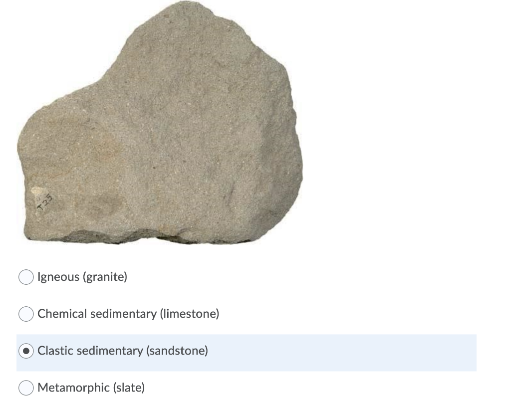 Solved The rock surrounding the bones is tan and made up of | Chegg.com