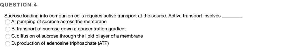 Solved QUESTION 4 Sucrose loading into companion cells | Chegg.com