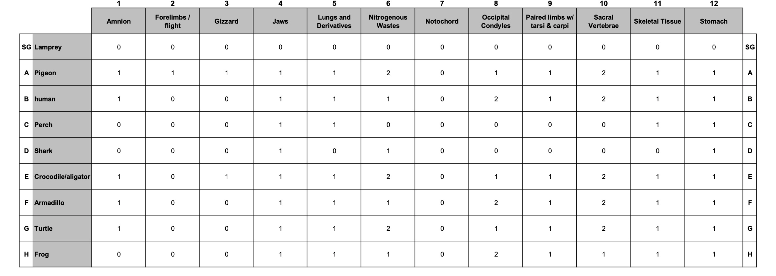 Solved Please help me build a cladogram with the following | Chegg.com