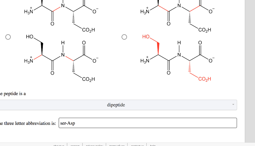 Solved Classify the structure and identify the peptide | Chegg.com