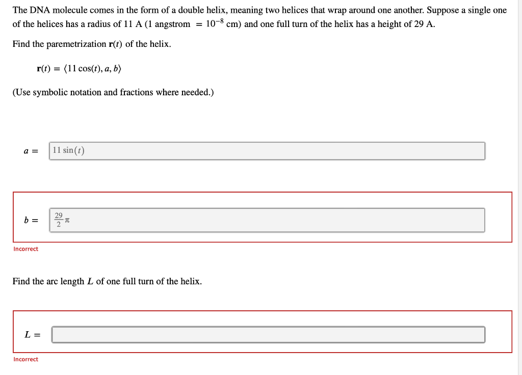 Solved The DNA molecule comes in the form of a double helix, | Chegg.com