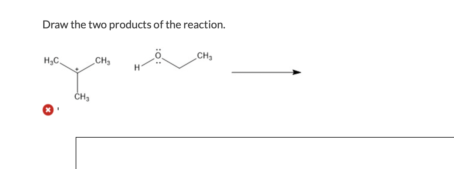 Solved Draw the two products of the reaction. x । | Chegg.com