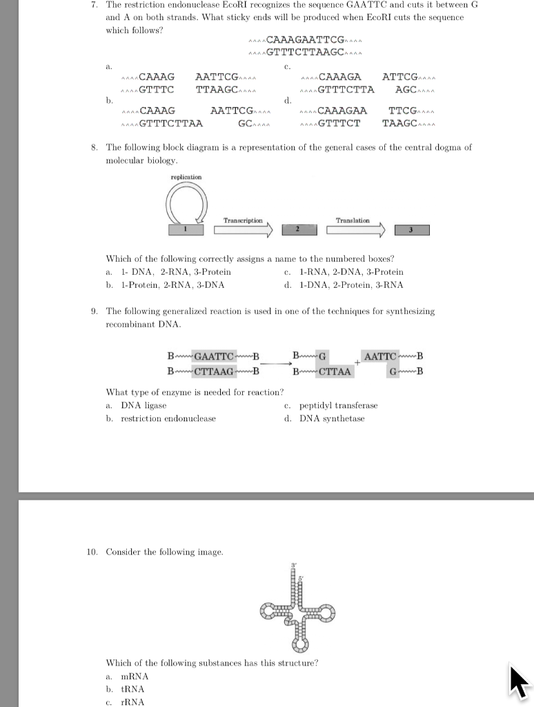 Solved 7 The Restriction Endonuclease Ecori Recognizes The