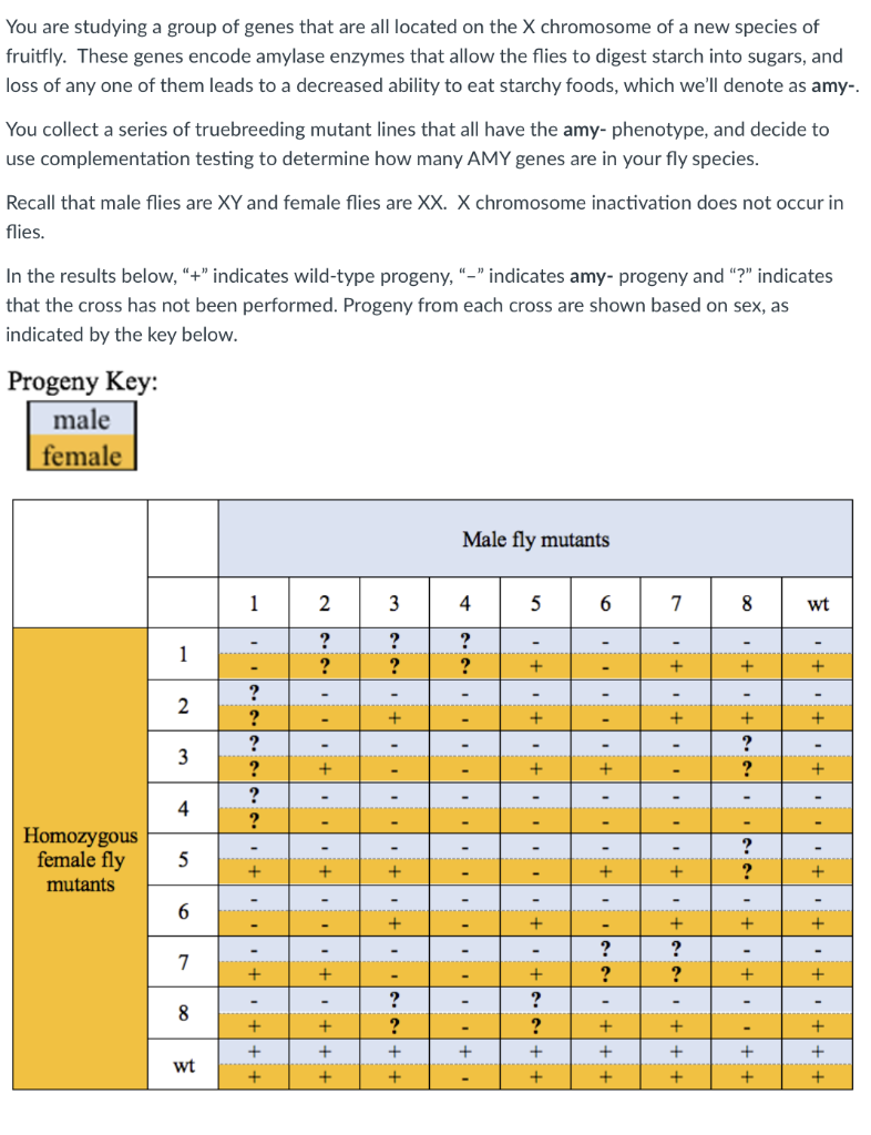 Solved 1.Group the mutants into complementation groups. List | Chegg.com