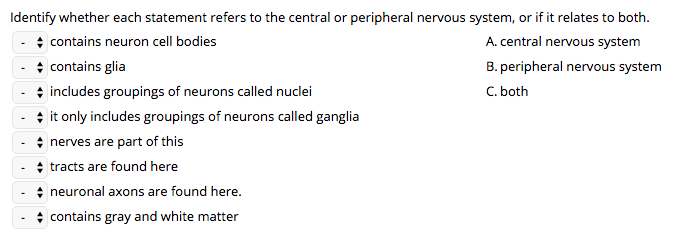 Solved Identify whether each statement refers to the central | Chegg.com