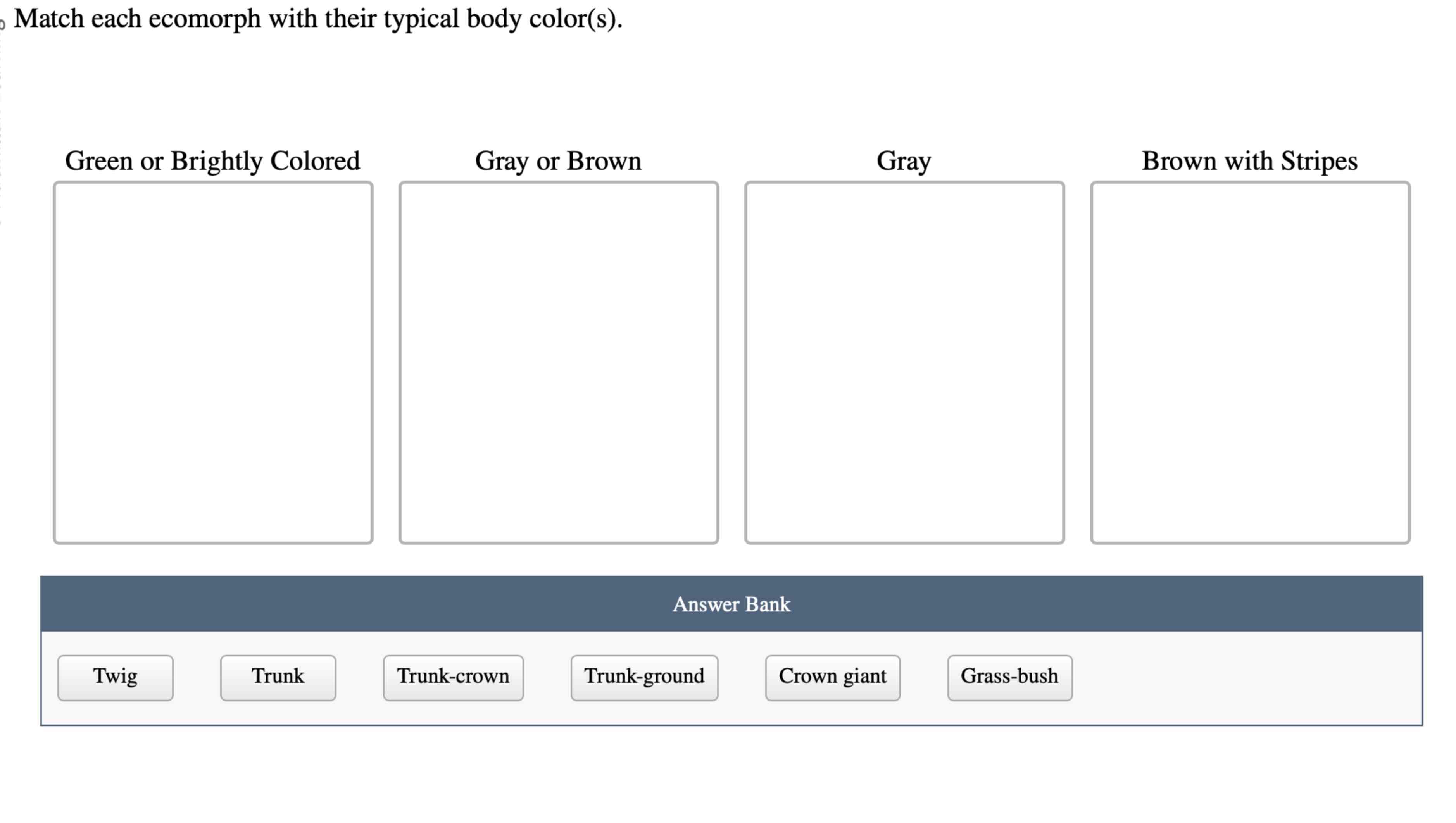 Solved Match each ecomorph with their typical body | Chegg.com