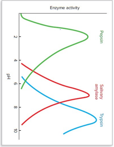 Solved For the graph shown below: What is the optimal pH | Chegg.com