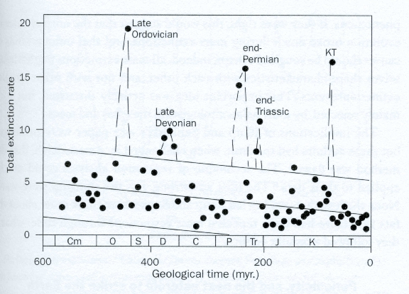 Solved What are the mass extinctions in this graph below? | Chegg.com