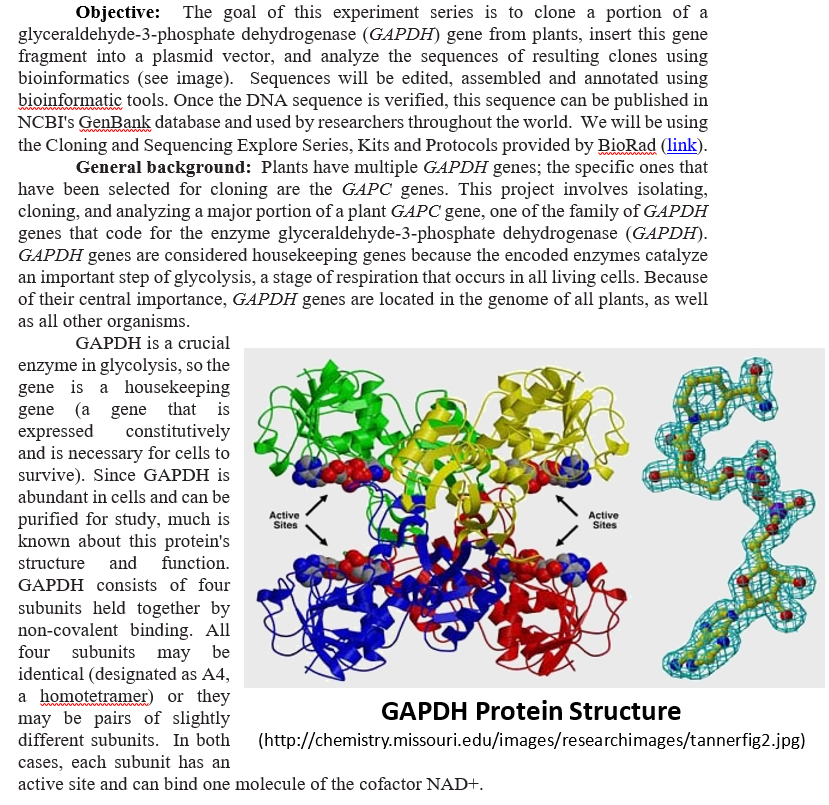 Solved DNA Isolation and PCR of GAPDH 1) What is the | Chegg.com