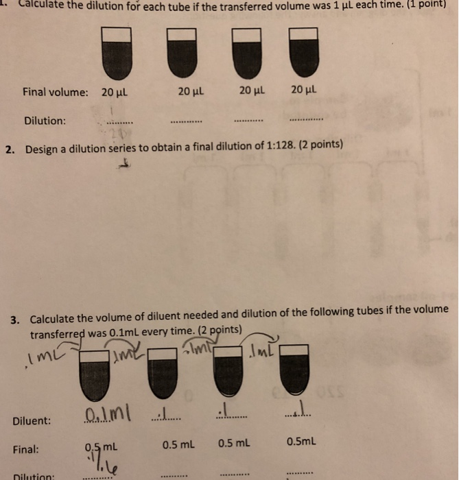 Solved Calculate the dilution for each tube if the | Chegg.com