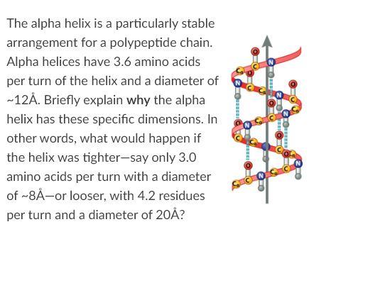 Solved The alpha helix is a particularly stable arrangement | Chegg.com