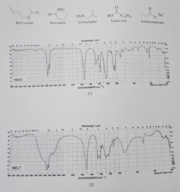 Solved Na+ Butyl acetate Butyramide Isobutylamine Lauric | Chegg.com
