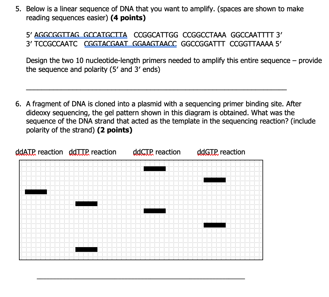 Solved 5. Below is a linear sequence of DNA that you want to | Chegg.com