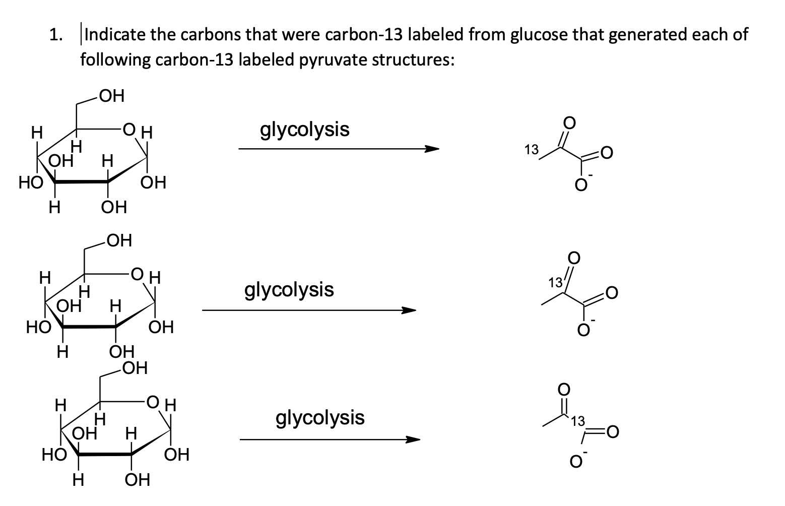 Solved 1. Indicate the carbons that were carbon-13 labeled | Chegg.com