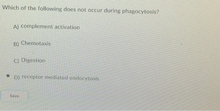 Solved Which of the following does not occur during | Chegg.com