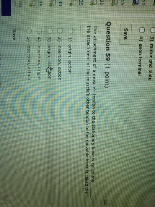 Solved The attachment of a muscle's tendon to the stationary | Chegg.com
