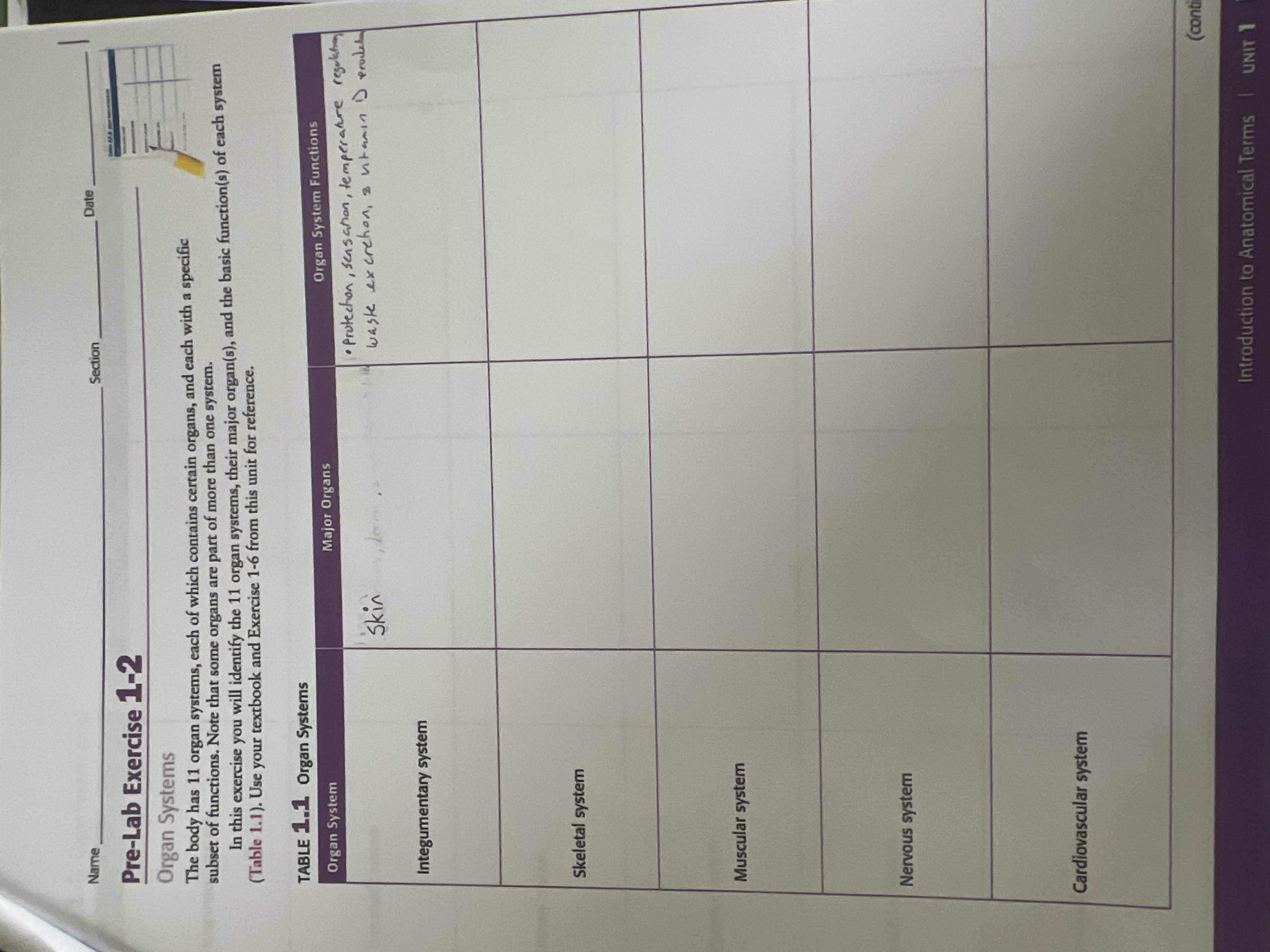 Solved Pre-Lab Exercise 1-2 Organ Systems The body has 11 | Chegg.com