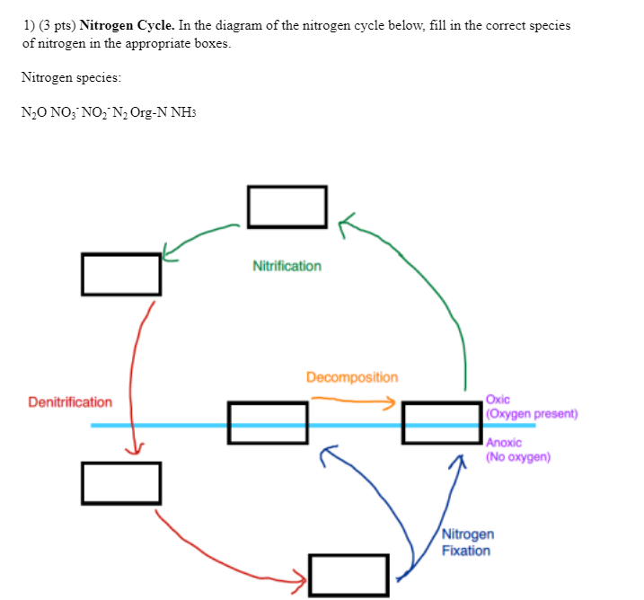 Nitrogen Cycle. In the diagram of the nitrogen cycle | Chegg.com