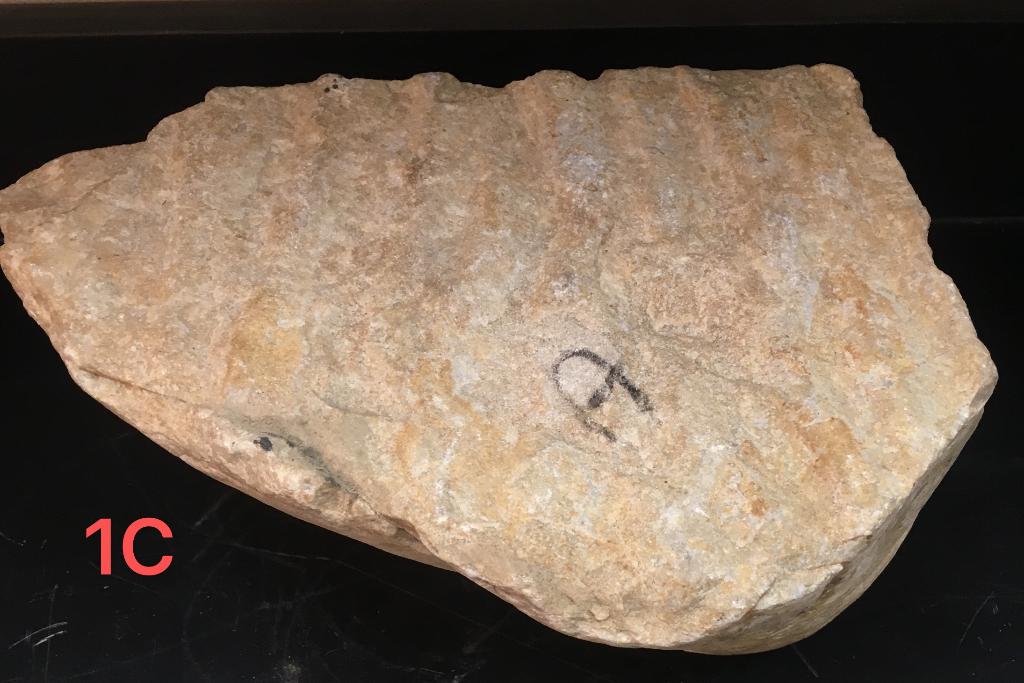 Solved Structures Sample # Clastic, For clastic rocks only | Chegg.com