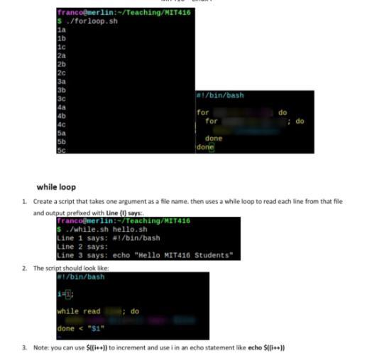 Solved Bash Part 1 Exploring Bash Variables And Return 3952